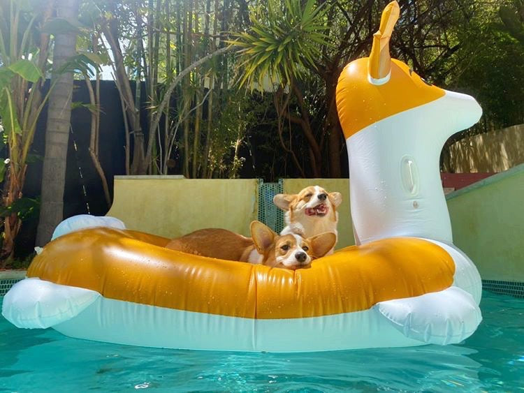 Good Boy Floats | Premium Water Floats for Dogs & Owners